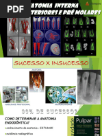 Anatomia do Dente 27: Molar Superior | PDF | Raiz | Dente