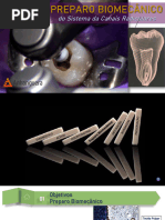 Tratamento Endodôntico - Biopulpectomia e Necropulpectomia. 13082024 ...