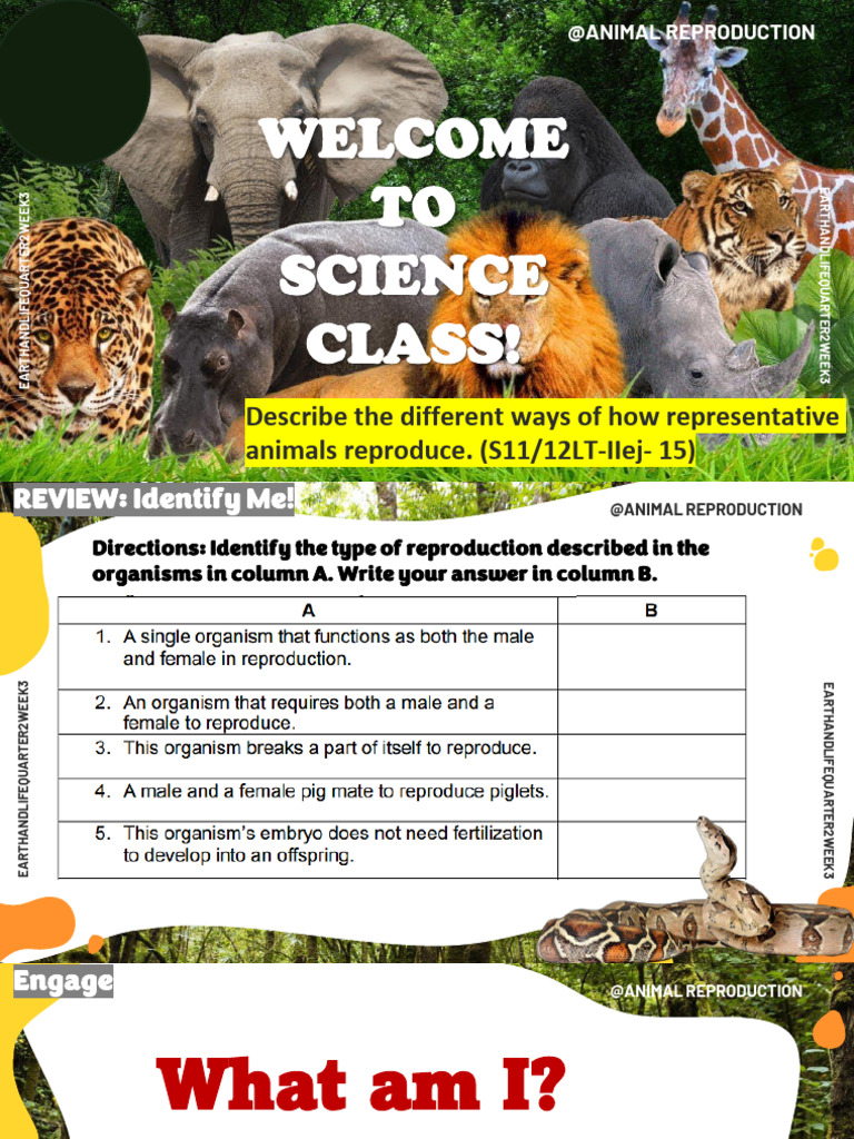 Q2W3 | PDF | Sexual Reproduction | Reproduction