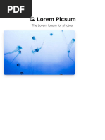 Lorem Picsum | PDF | Software Engineering | Internet