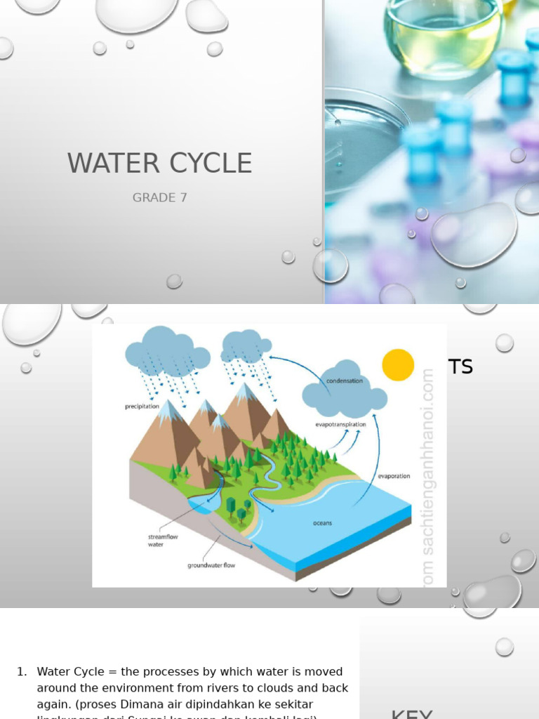 Water Cycle | PDF
