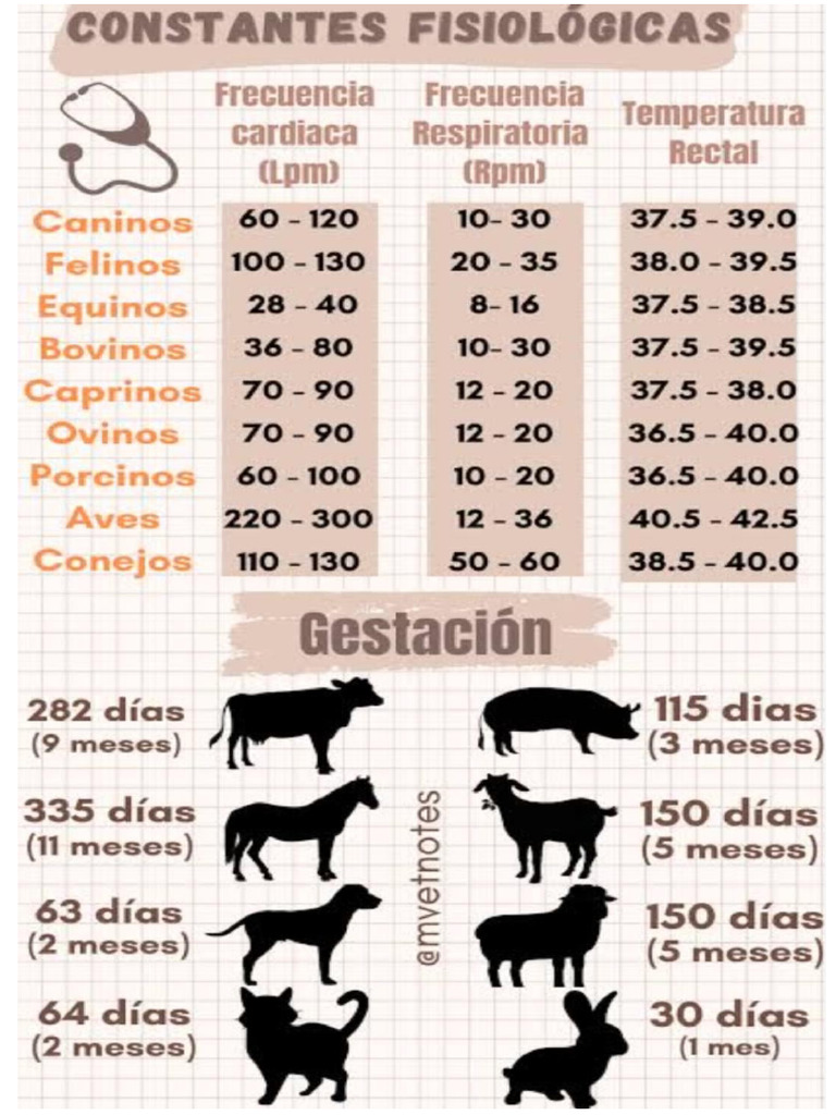 Constantes Fisiologicas | PDF