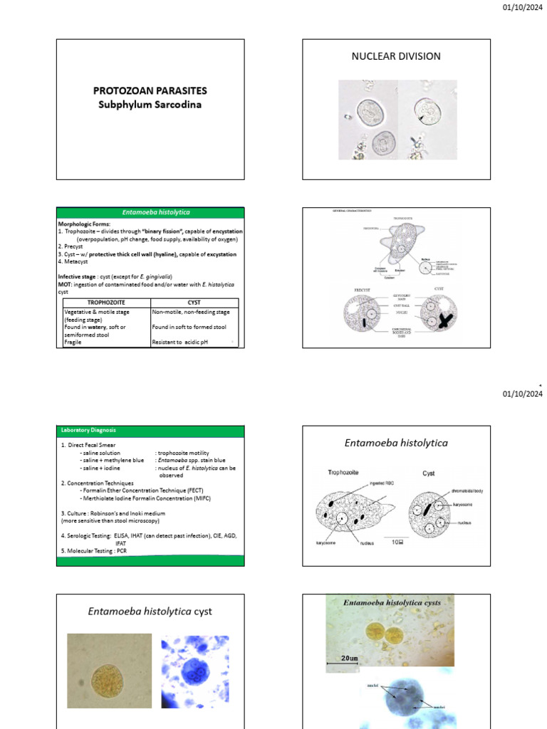 Protozoan Parasites: Types and Diagnosis | PDF