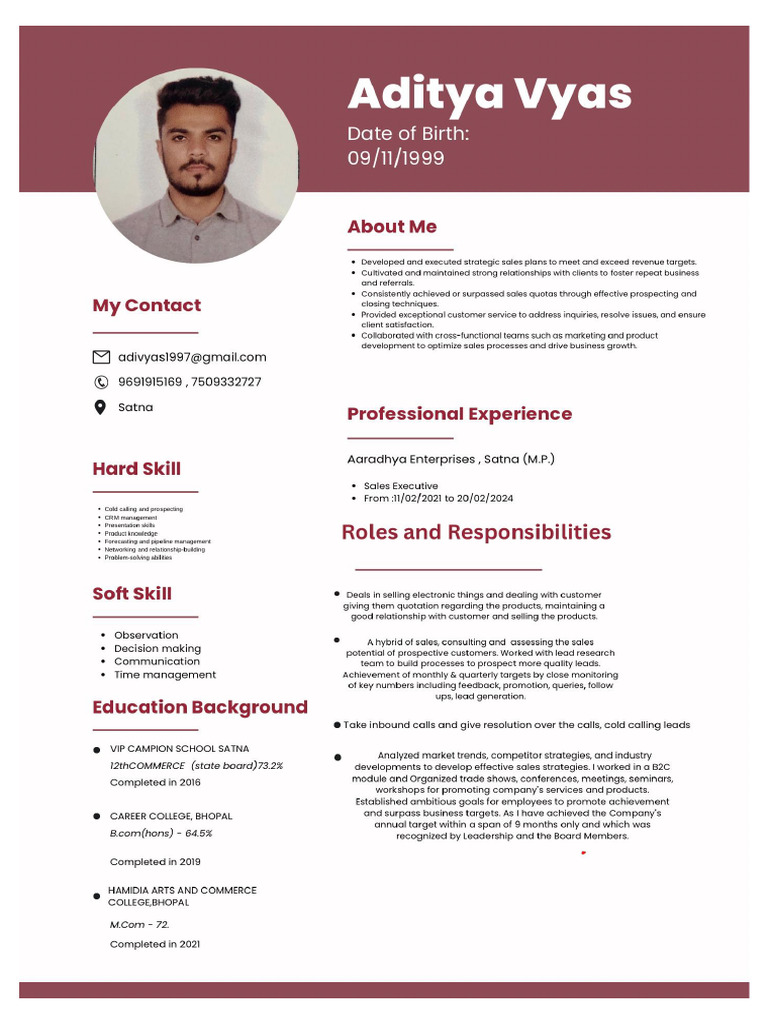 Aditya Vyas CV | PDF