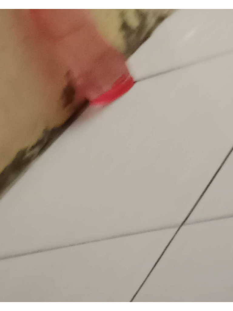 Img 20241029 085708 | PDF