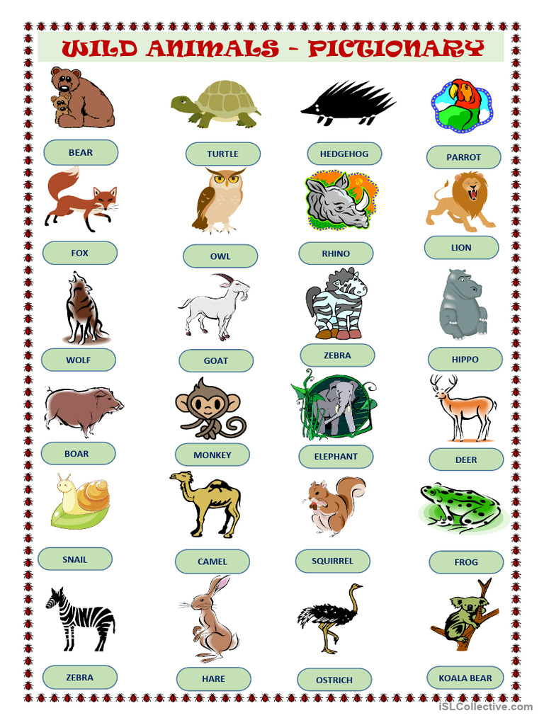 Wild Animals Pictionary Guide | PDF