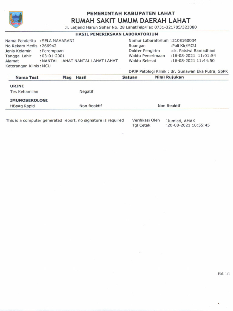 Hasil Pemeriksaan Lab | PDF