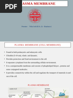Models of Plasma Membrane Structure | PDF | Cell Membrane | Cell (Biology)