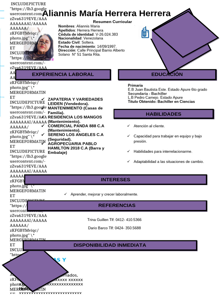 Curriculum Ali | PDF