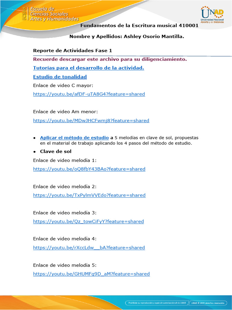 Anexo 4 - Formato Actividades FEM Fase 1 | PDF