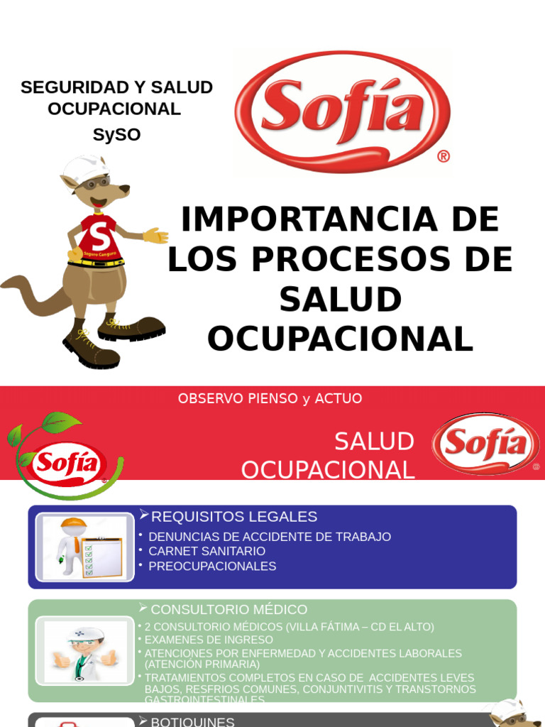 Presentacion Salud Ocupacional - Sofia | PDF | Seguridad y salud ...