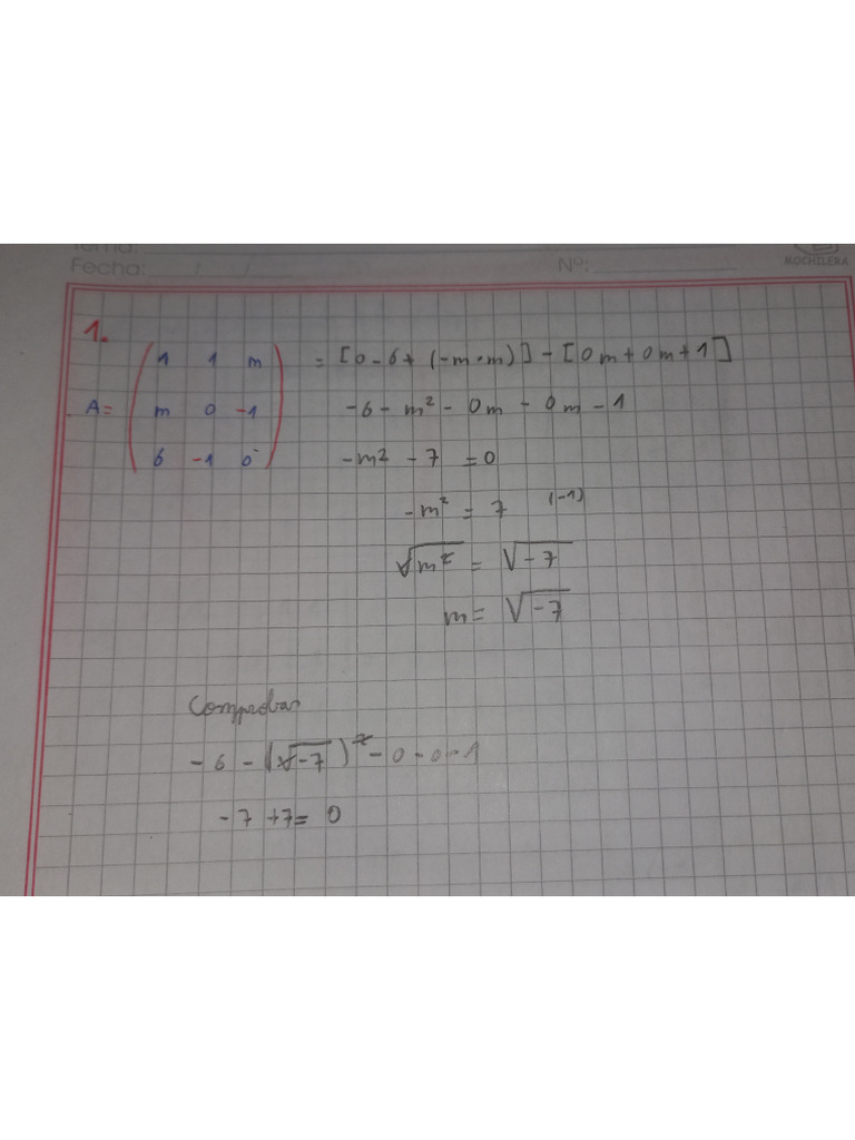 Fernando Gareca (Algebra Control) | PDF