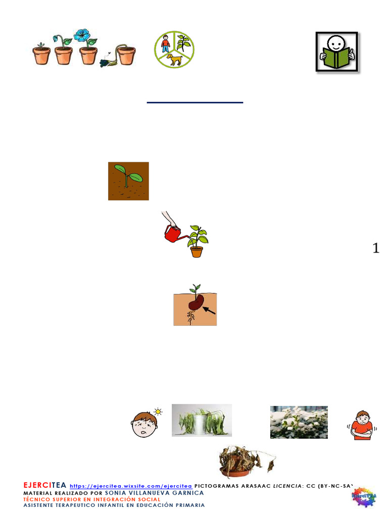 Unidad Didáctica Las Plantas | PDF | Plantas | Botánica