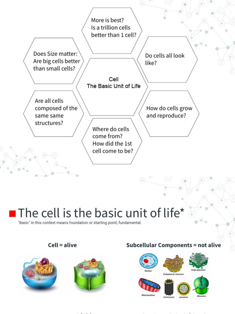 Topic A2.2 | PDF | Cell (Biology) | Life