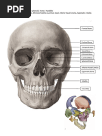 Ethmoid Bone - Location - Structure - Relationships - TeachMeAnatomy | PDF | Human Nose | Human ...
