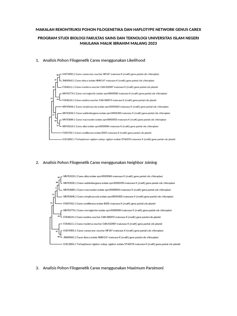 Filogenetik | PDF | Photosynthesis | Cytoplasm