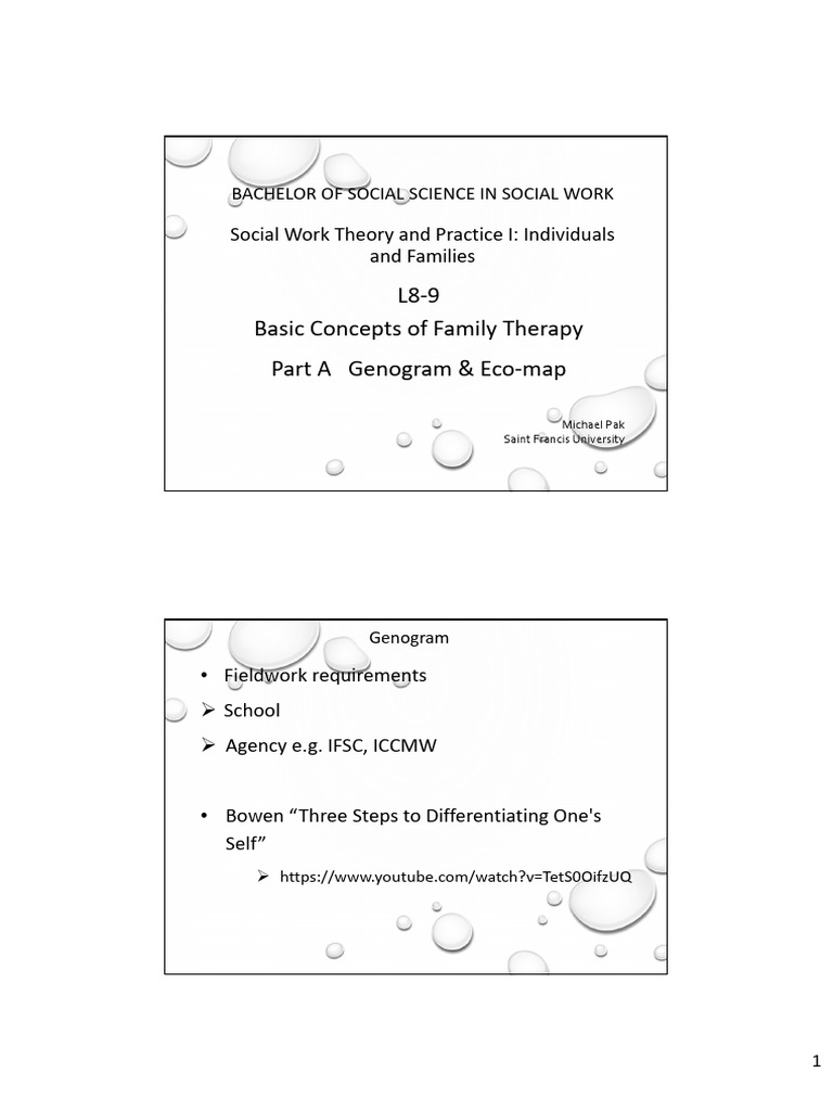 L8-9 A Genogram Eco-Map | PDF | Mother | Psychology