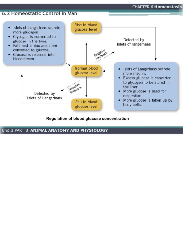 Bio, Osmoregulation F4T3 | PDF