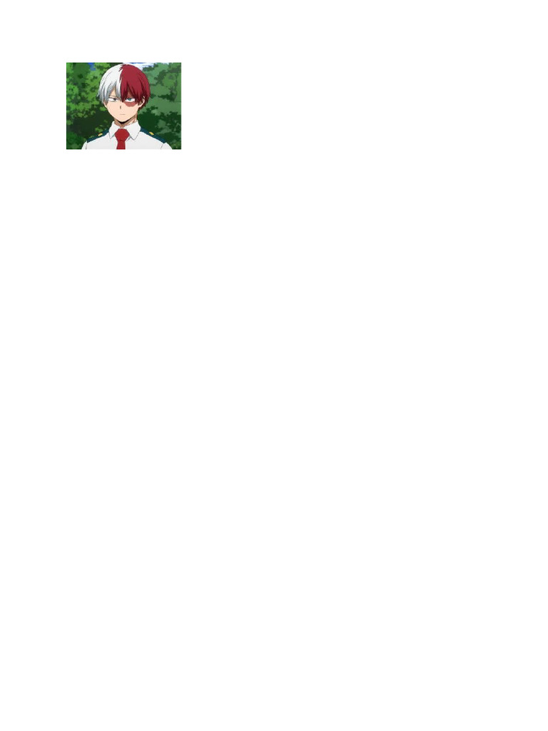 Shoto | PDF