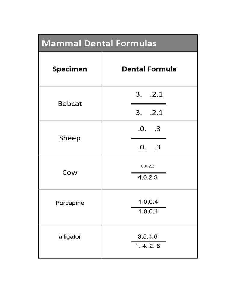 Mammal Dental Formulas-2 | PDF