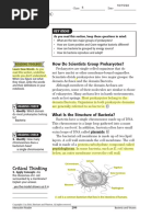 Spore vs Cyst in Bacteria Explained | PDF | Bacteria | Microbiology