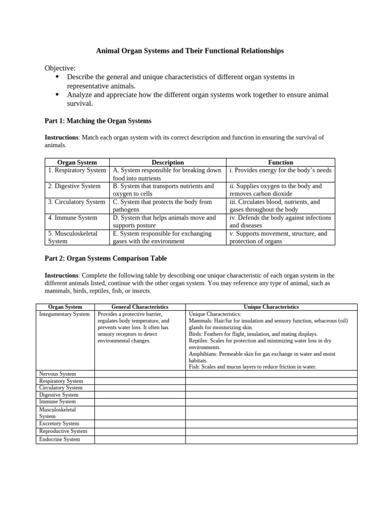 Animal Organ Systems and Survival Functions | PDF | Respiratory System ...