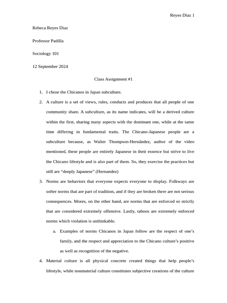 SOC101 Class Assignment 1 - Rebeca Reyes Diaz | PDF | Qualitative Research | Experience