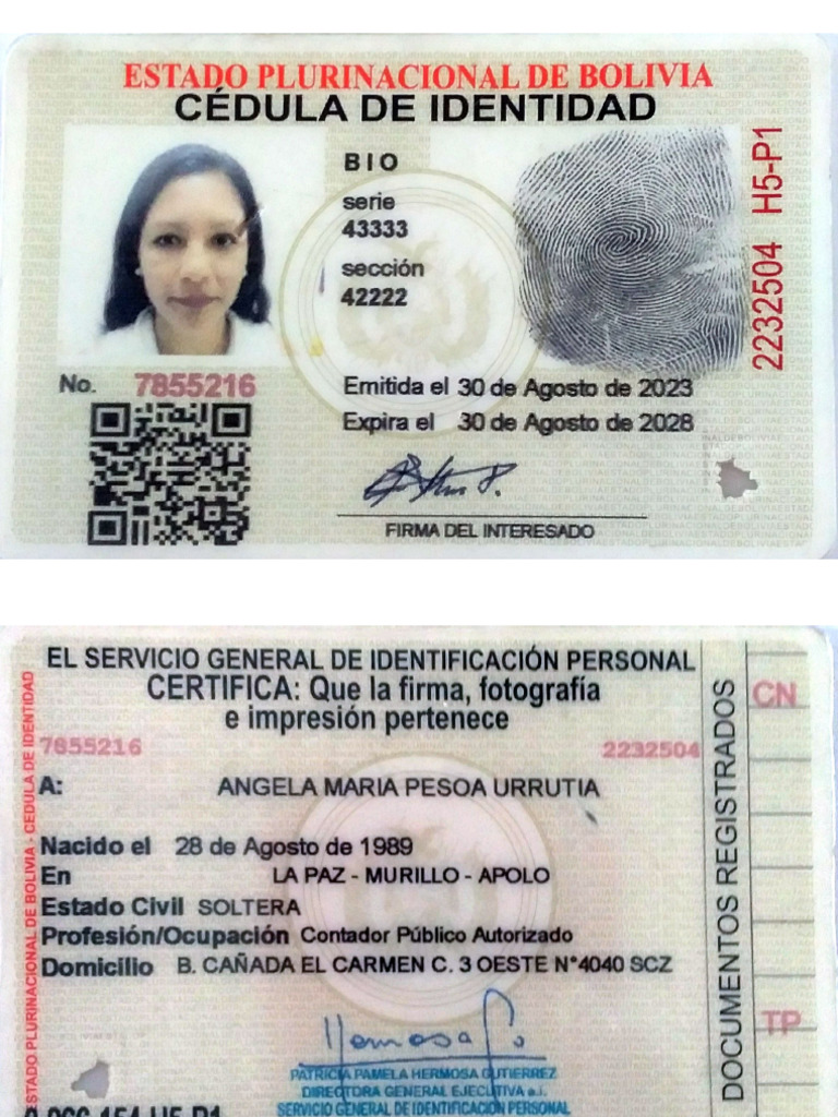 Escaneado 20240921-1126 | PDF