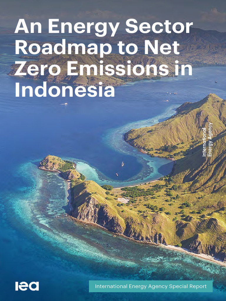 (IEA) Indonesia - EnergyRoadmapNZE Indonesia (2022-Sep) | PDF | International Energy Agency ...