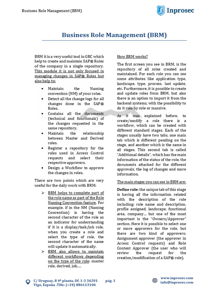 Business Role Management BRM | PDF | Information Science | Computer Science