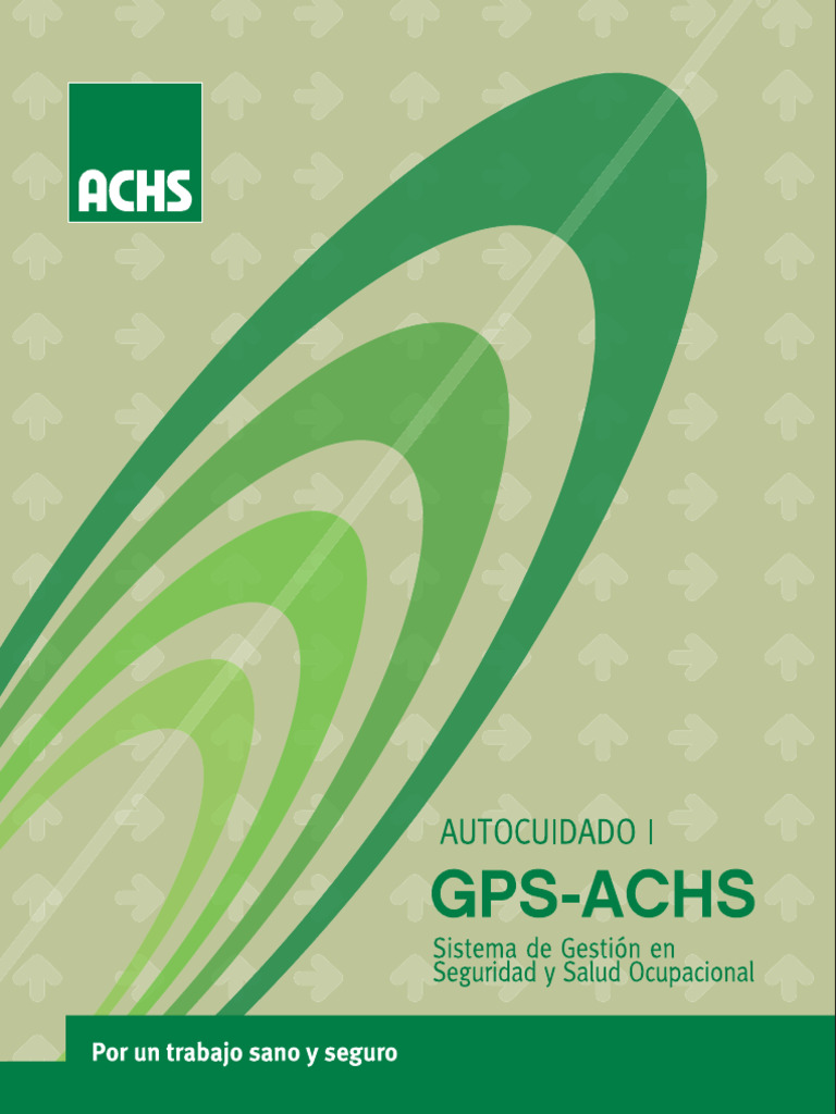 Achs - Comportamiento Seguros I | PDF | Comportamiento | Riesgo