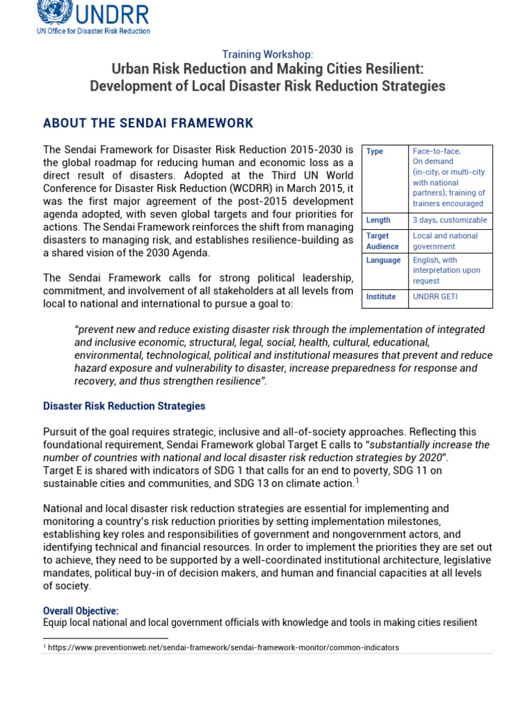 UNDRR Local DRR Strategy Training Workshop | PDF | Disaster Risk ...