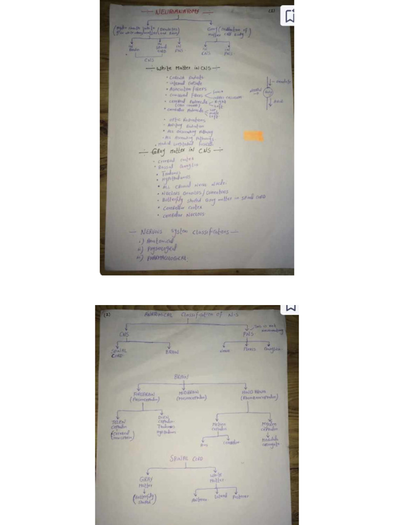 ACE Scanner - 2024 - 10 - 28 | PDF