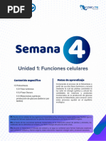 4to GRADO CIENCIAS NATURALES 29-05-2020355 | PDF | Fotosíntesis ...