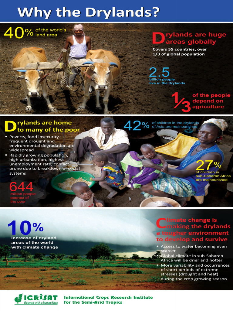 Why The Drylands Poster | PDF