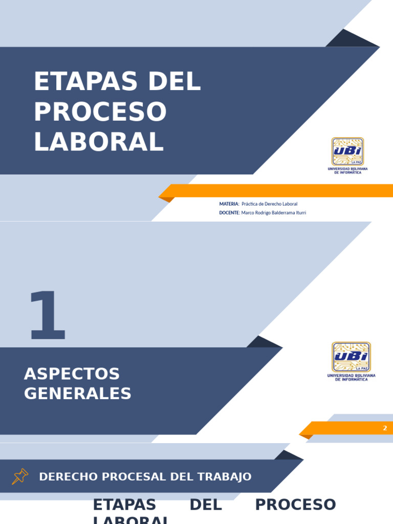 Etapas Procesales 1 | PDF | Evidencia (ley) | Demanda judicial
