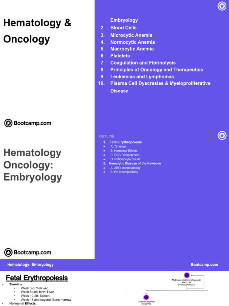Hematology - Oncology Atf | PDF | Anemia | Blood Cell