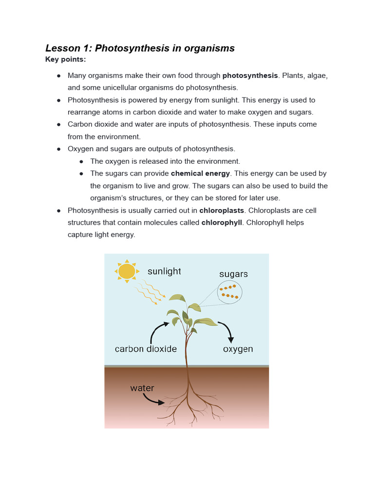 Unit 3 - Biology | PDF | Lifestyle
