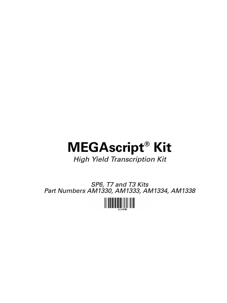 Mega Script T7 Kit | PDF | Gel Electrophoresis | Agarose Gel ...
