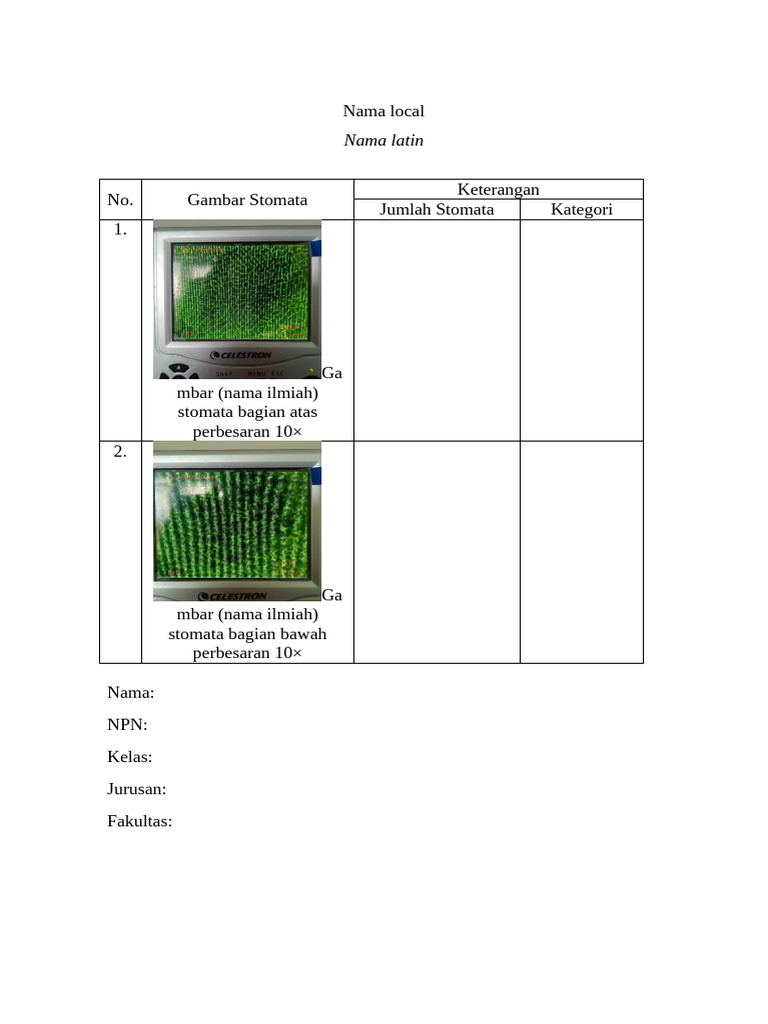 Tabel Tugas Stomata | PDF | Seni & Disiplin Bahasa
