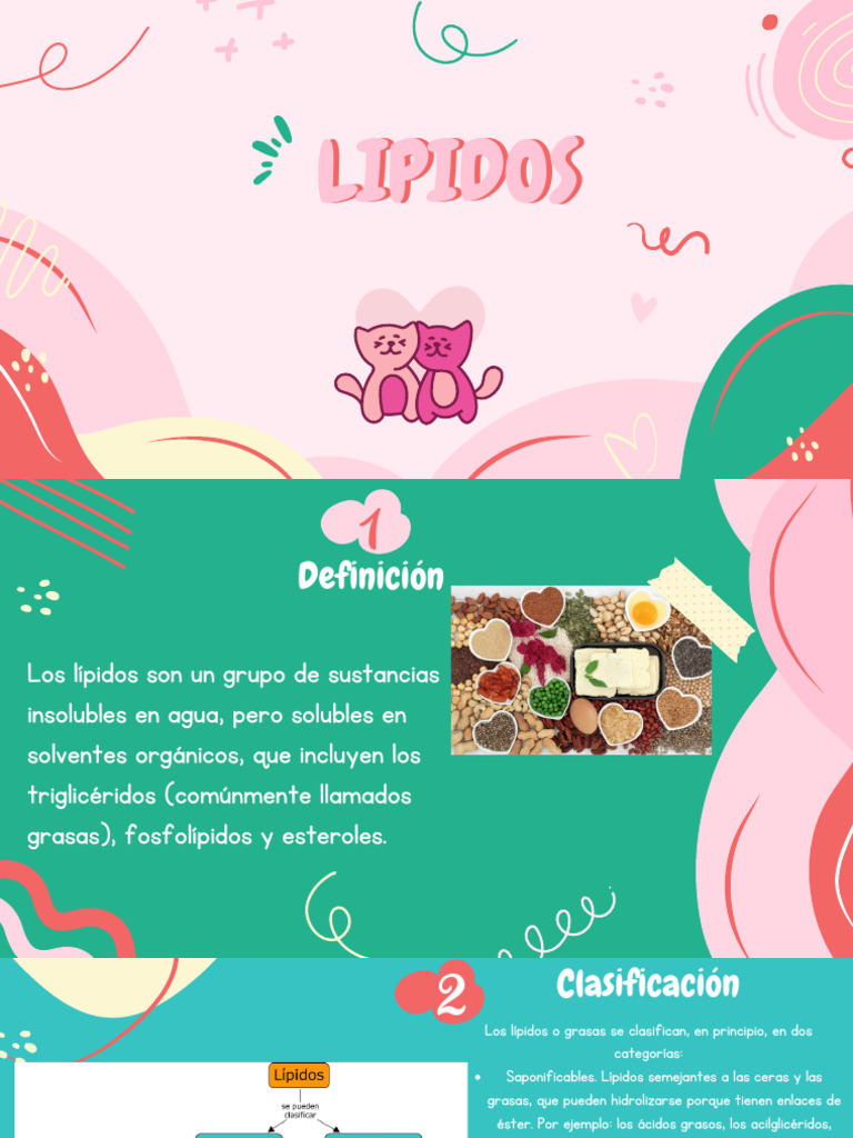 Lípidos: Funciones y Fuentes Alimenticias | PDF | Lípido | gordo