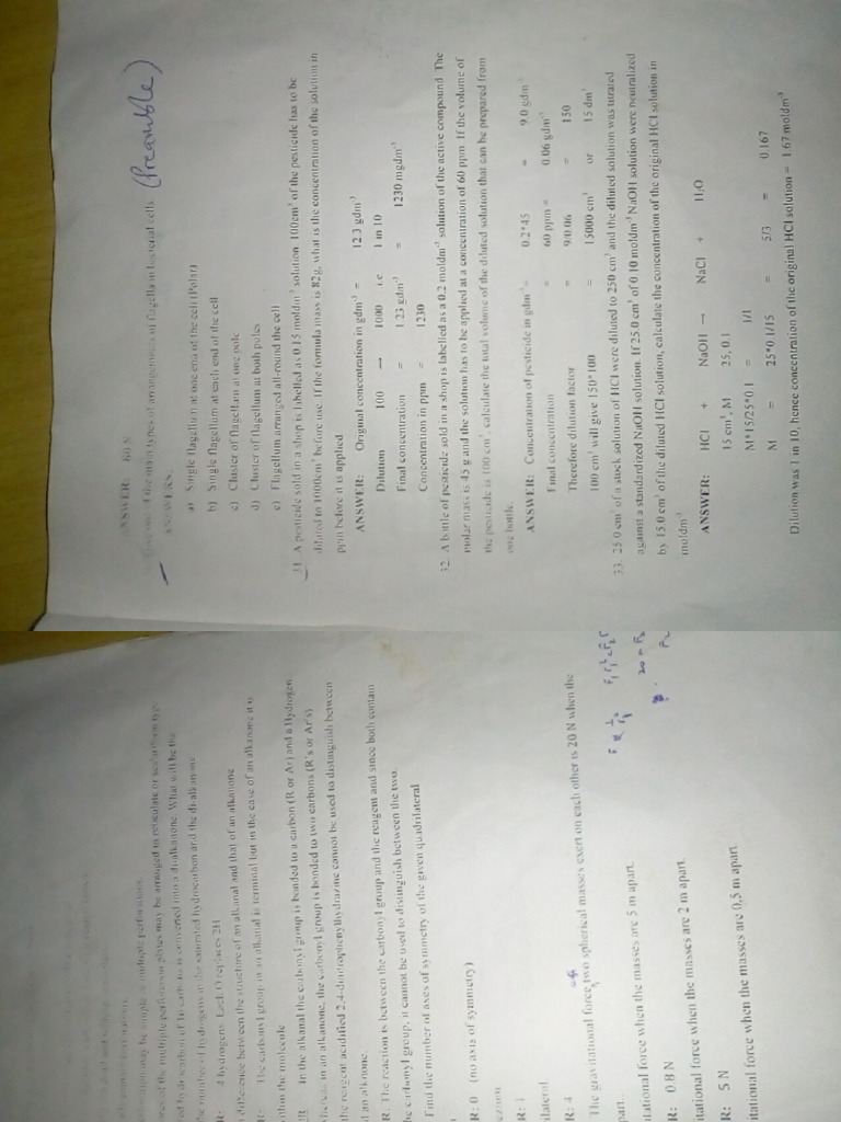 PDF_Phoenix_20240928_053716 | PDF