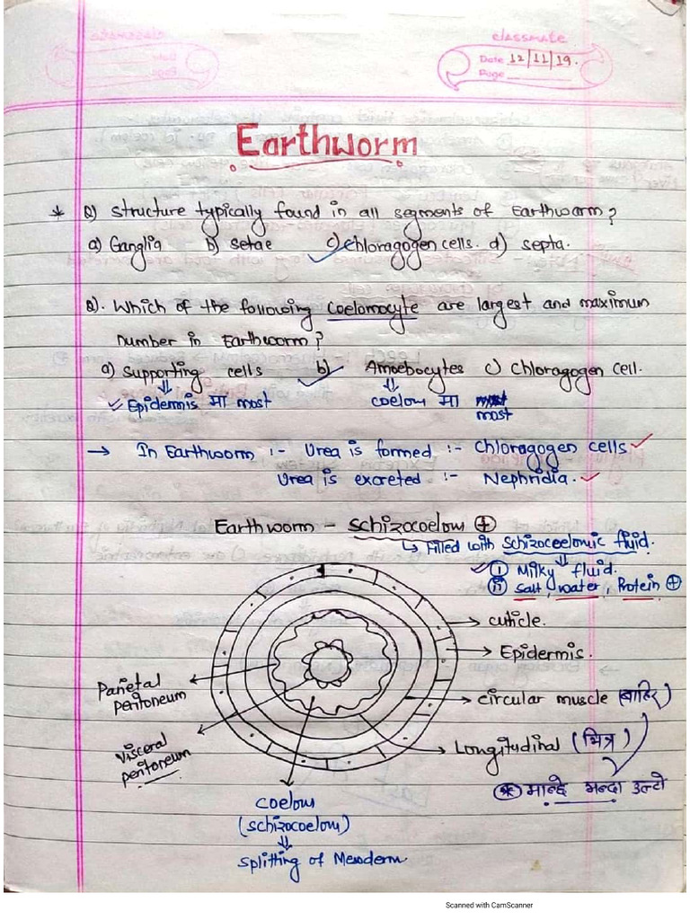 Earthworm Complete Note PDF | PDF
