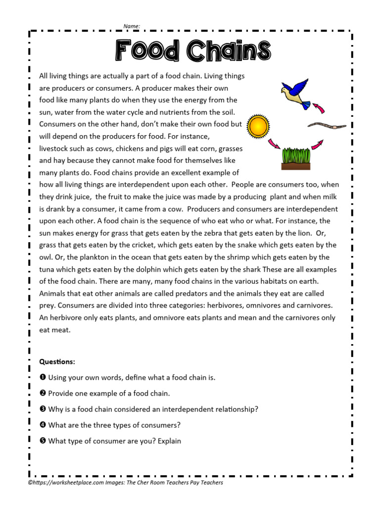 Understanding Food Chains for Kids | PDF | Science & Mathematics