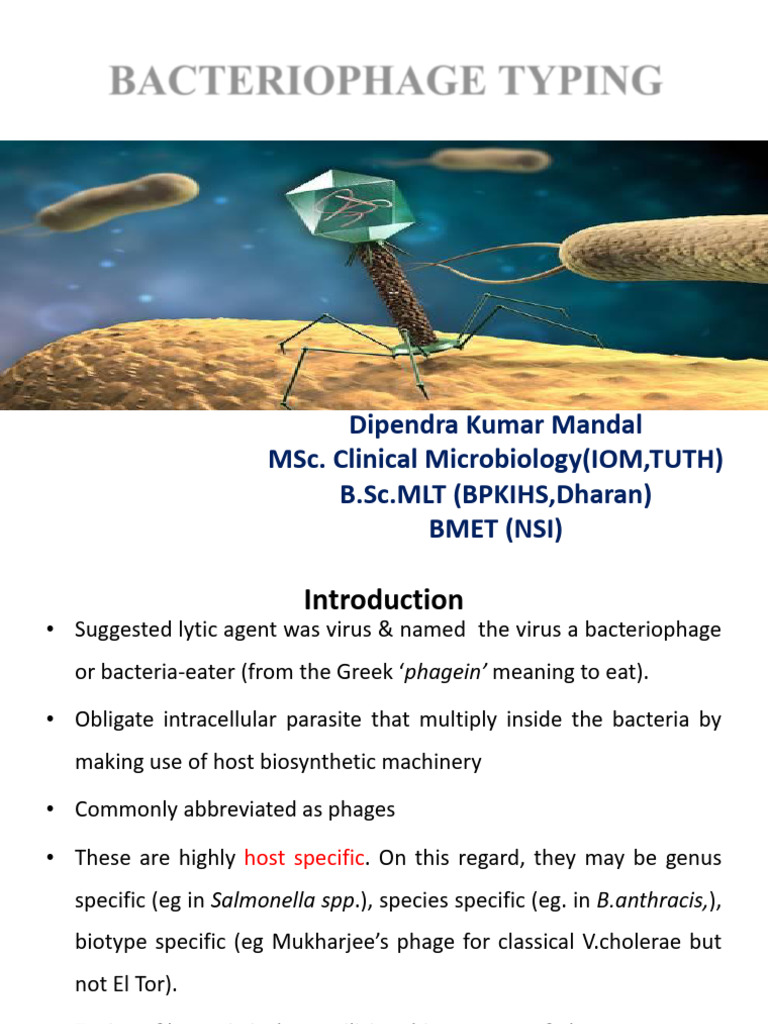Bacteriophage Typing Explained | PDF | Bacteriophage | Virus