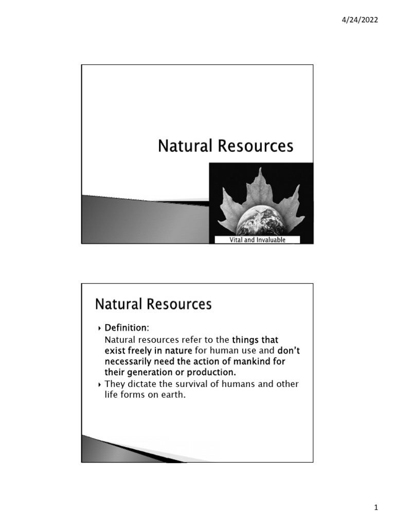 03 (1) EVS Natural Resources | PDF | Mining | Agriculture