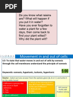 Amoeba Sisters Osmosis Recap Guide | PDF | Osmosis | Cell Biology
