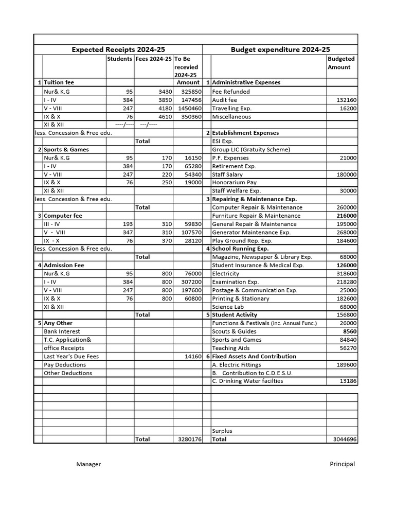 Budget 2024-25 | PDF | Government Finances | Economies