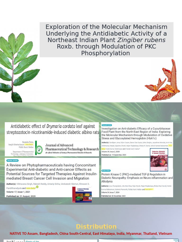 Exploration of The Molecular Mechanism Underlying The Antidiabetic ...