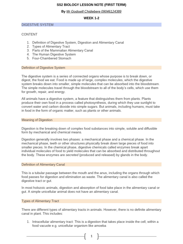 SS2 Biology Lesson Note | PDF | Dental Anatomy | Artery